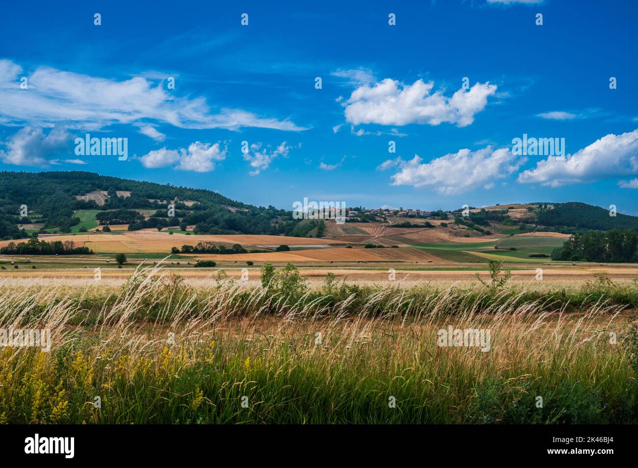 Colfiorito. Fields of flowers and nature of Umbria Stock Photo - Alamy