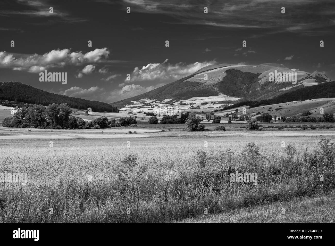 Colfiorito. Fields of flowers and nature of Umbria Stock Photo - Alamy