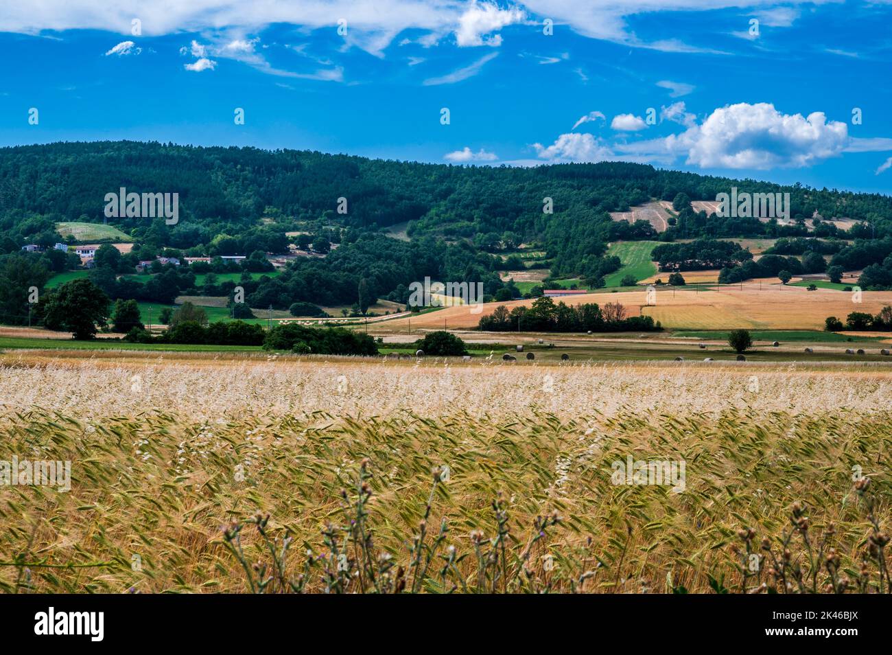 Colfiorito. Fields of flowers and nature of Umbria Stock Photo - Alamy