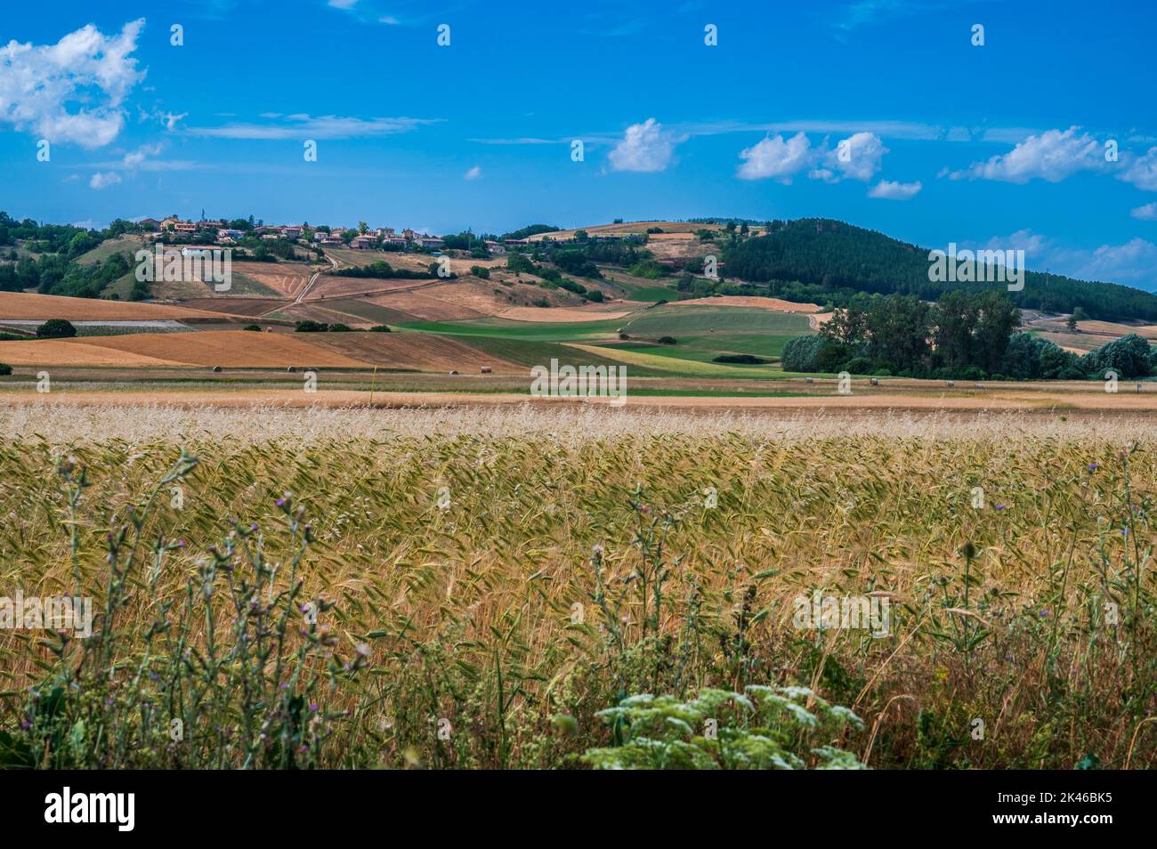 Colfiorito. Fields of flowers and nature of Umbria Stock Photo - Alamy
