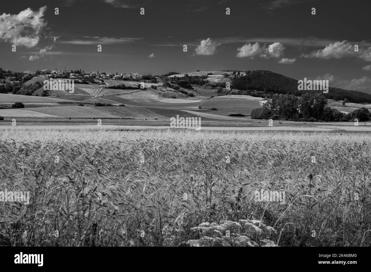 Colfiorito. Fields of flowers and nature of Umbria Stock Photo - Alamy