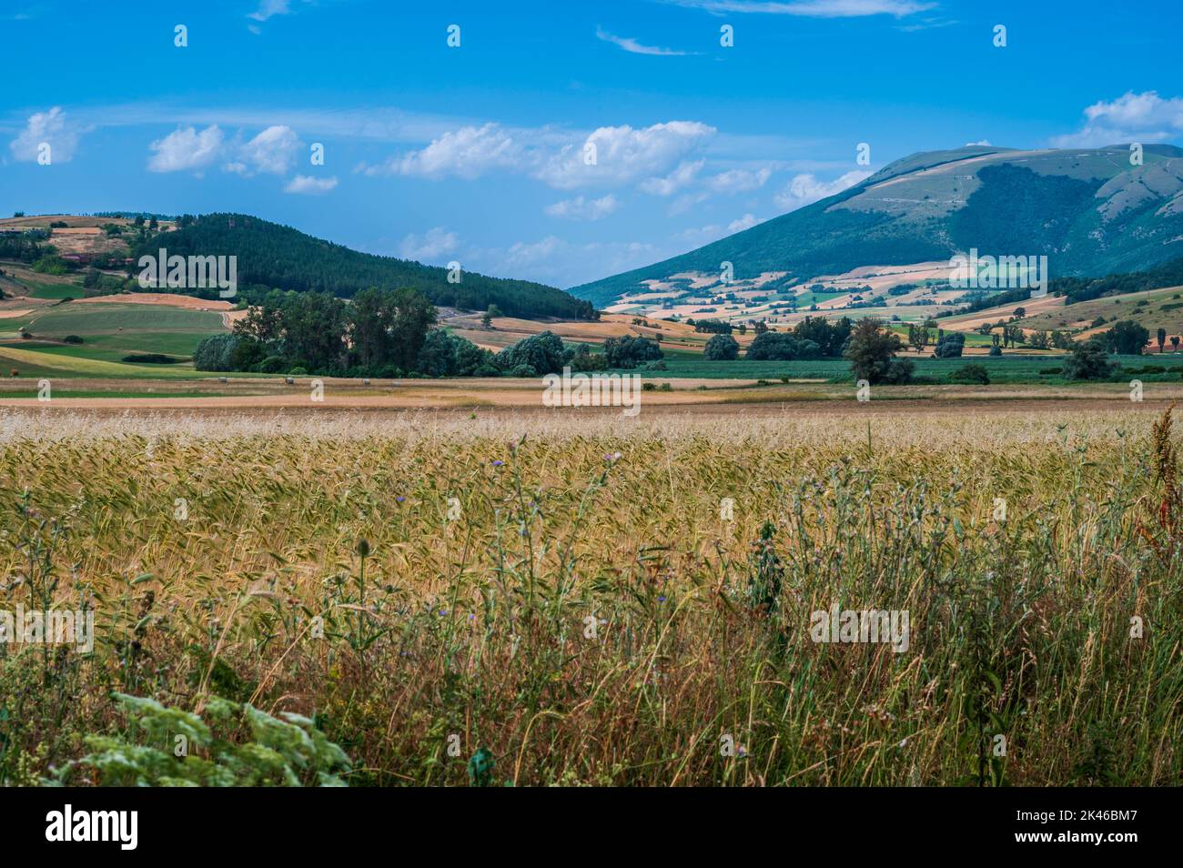 Colfiorito. Fields of flowers and nature of Umbria Stock Photo - Alamy