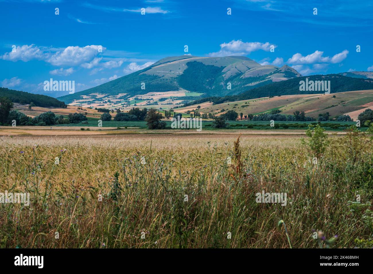 Colfiorito. Fields of flowers and nature of Umbria Stock Photo - Alamy