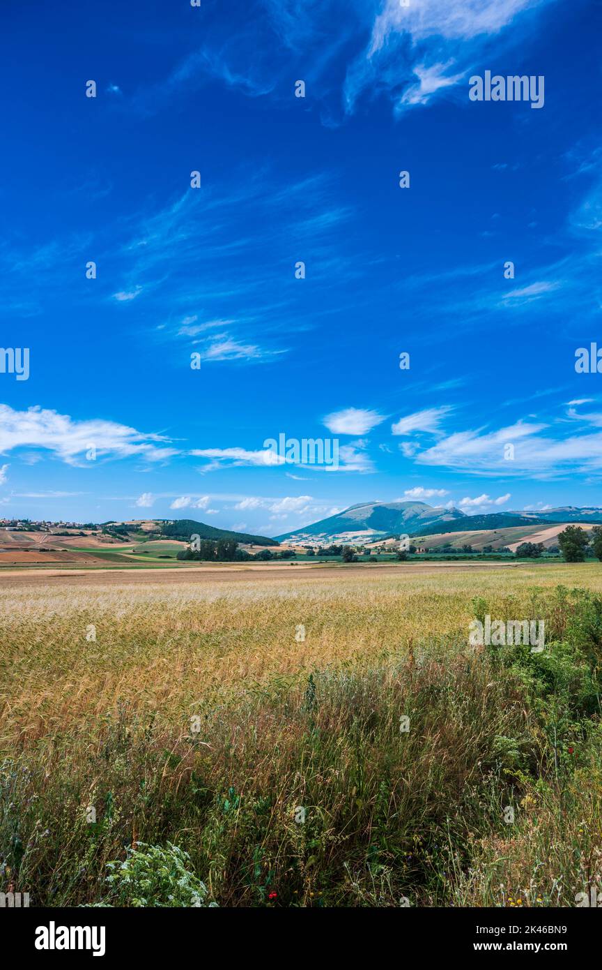 Colfiorito. Fields of flowers and nature of Umbria Stock Photo - Alamy