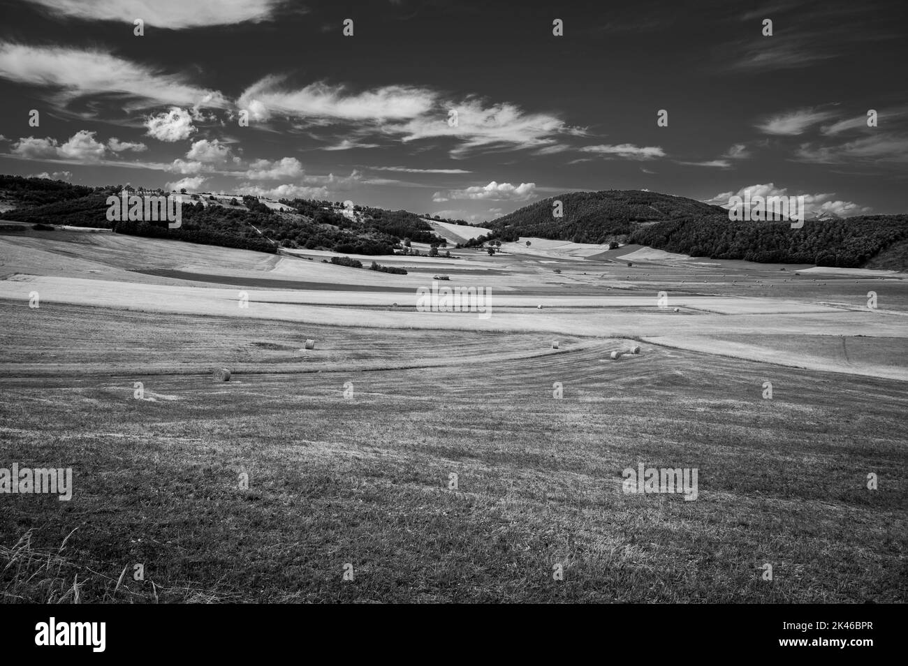 Colfiorito. Fields of flowers and nature of Umbria Stock Photo - Alamy