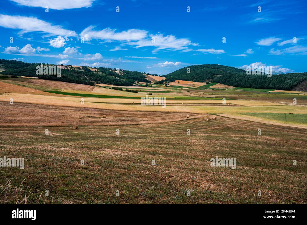 Colfiorito. Fields of flowers and nature of Umbria Stock Photo - Alamy