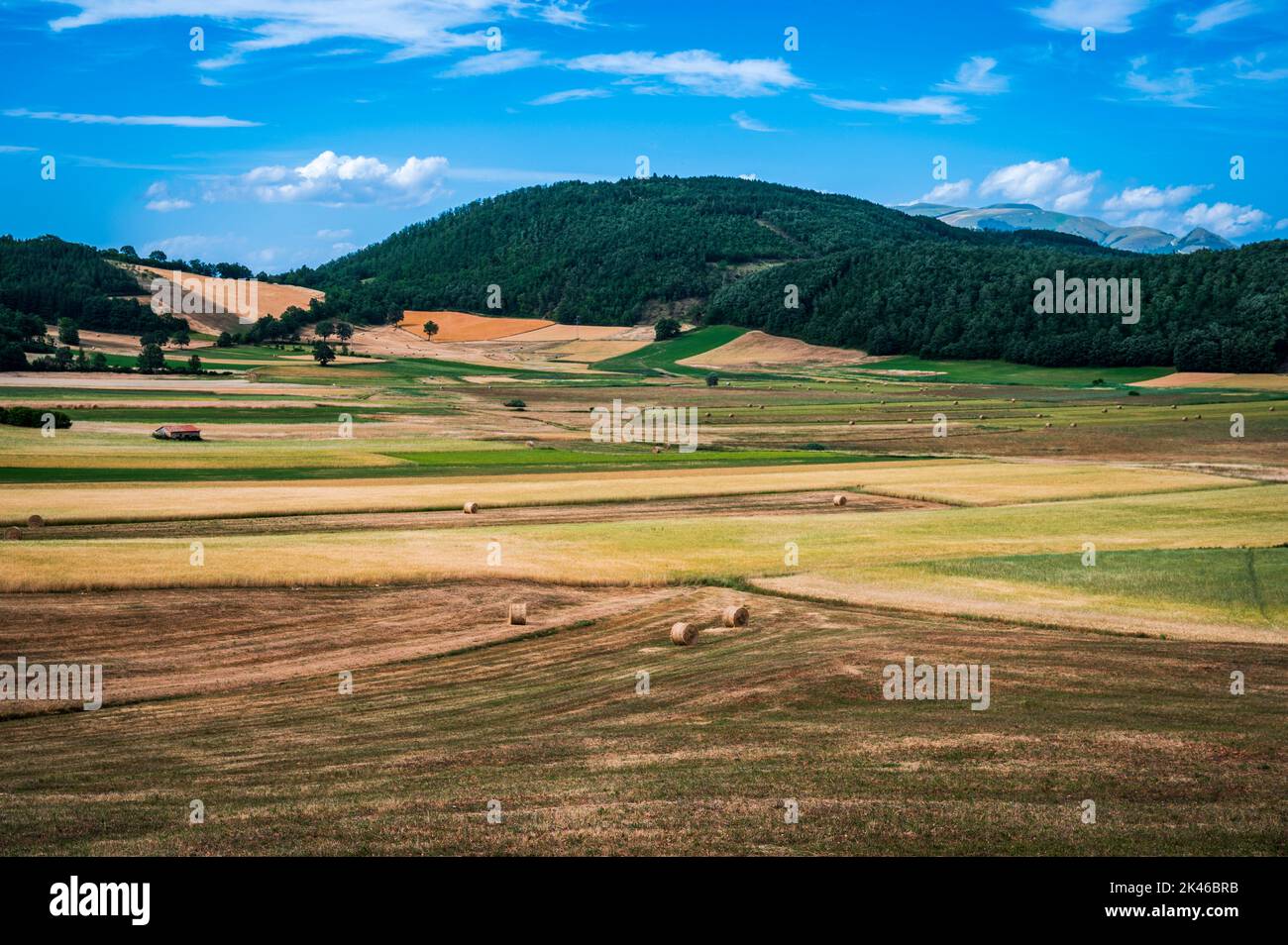 Colfiorito. Fields of flowers and nature of Umbria Stock Photo - Alamy