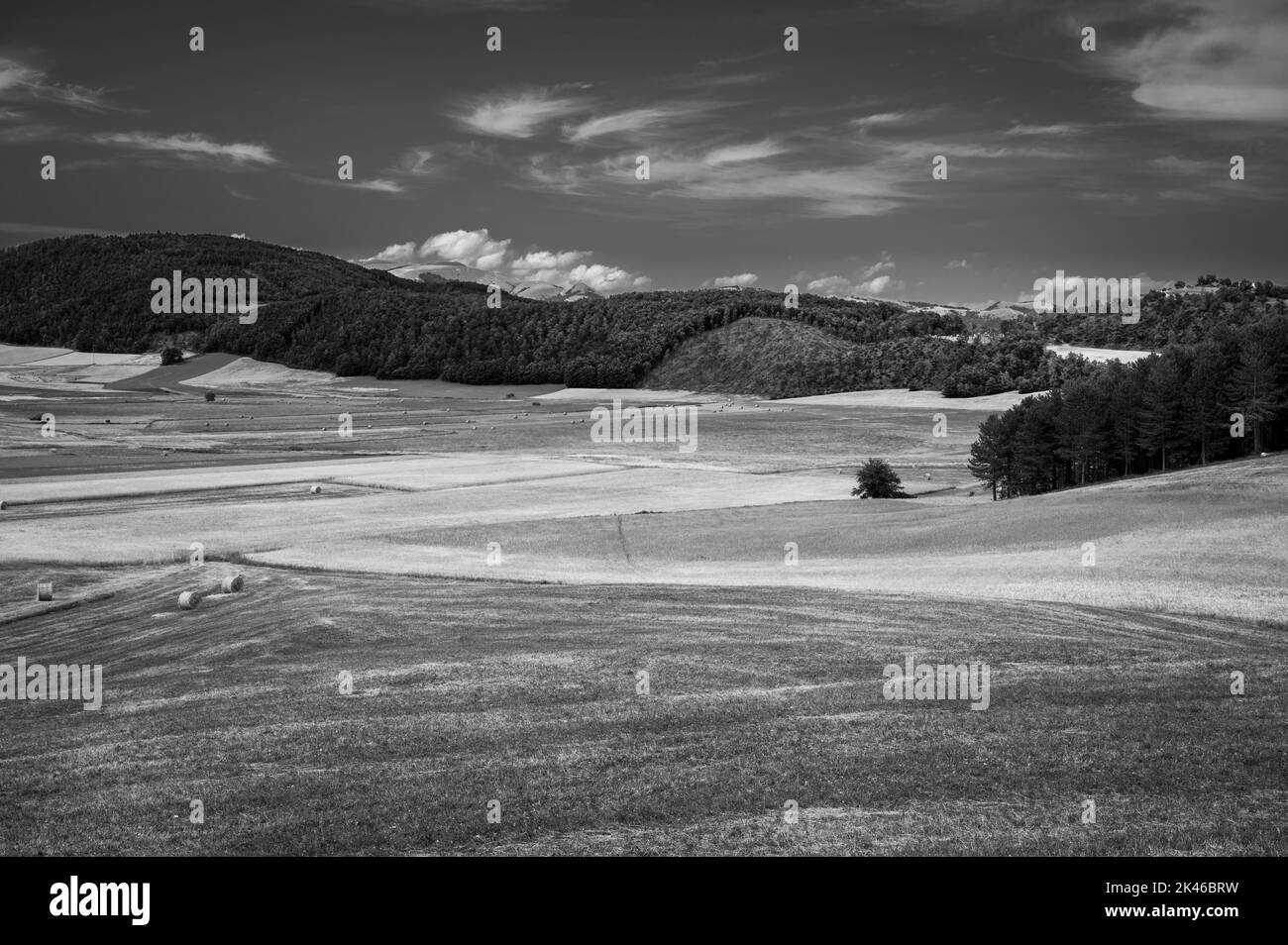 Colfiorito. Fields of flowers and nature of Umbria Stock Photo - Alamy