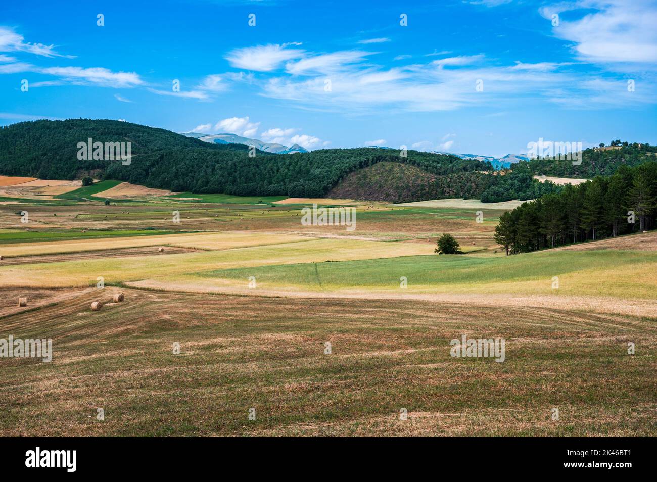 Colfiorito. Fields of flowers and nature of Umbria Stock Photo - Alamy