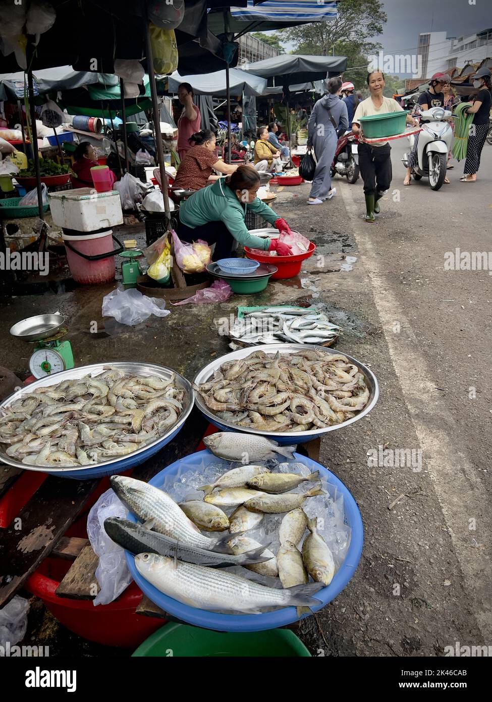 Cho Cay, Dalat Market, Dalat, Lam Dong Province, Vietnam Stock Photo ...