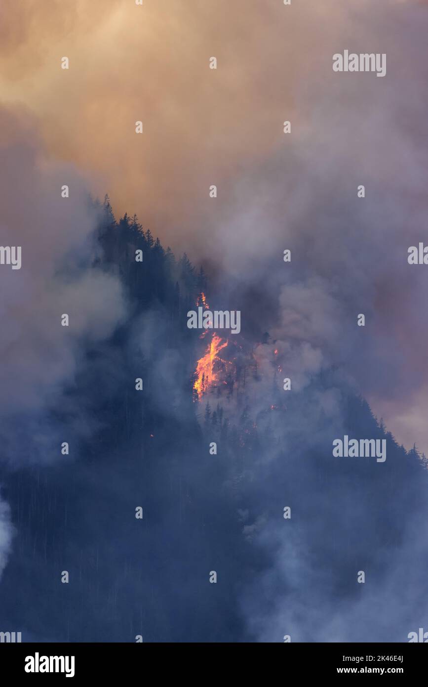 BC Forest Fire and Smoke over the mountain near Hope Stock Photo - Alamy