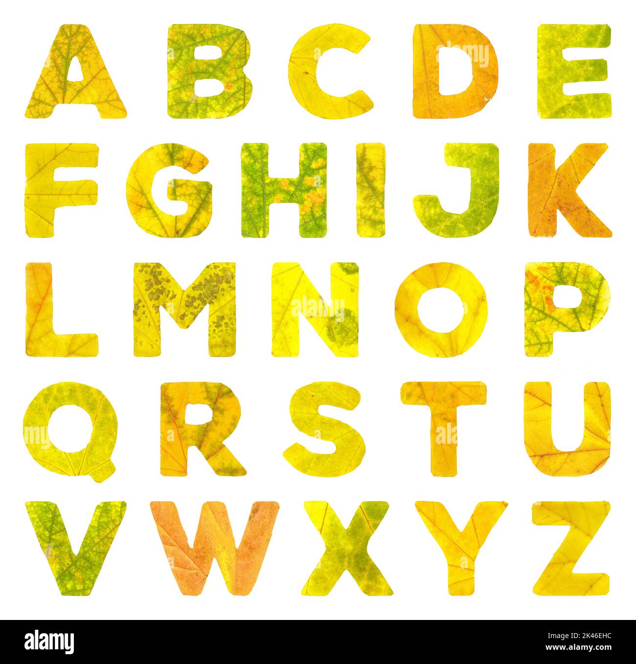 Green alphabet structure leaves hi-res stock photography and images - Alamy