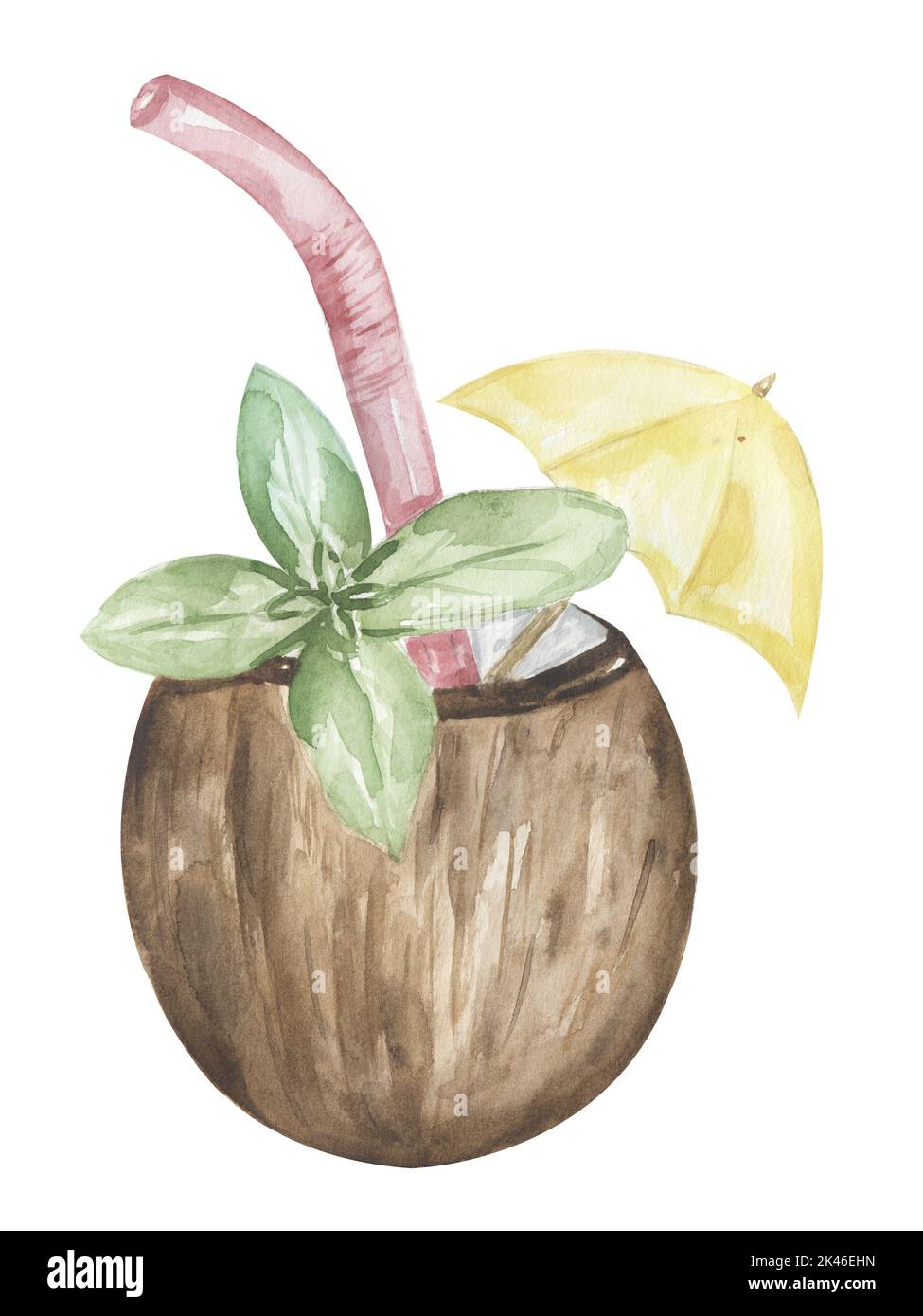 Coconut Cocktail, watercolor hand drawn beverages illustration Stock ...