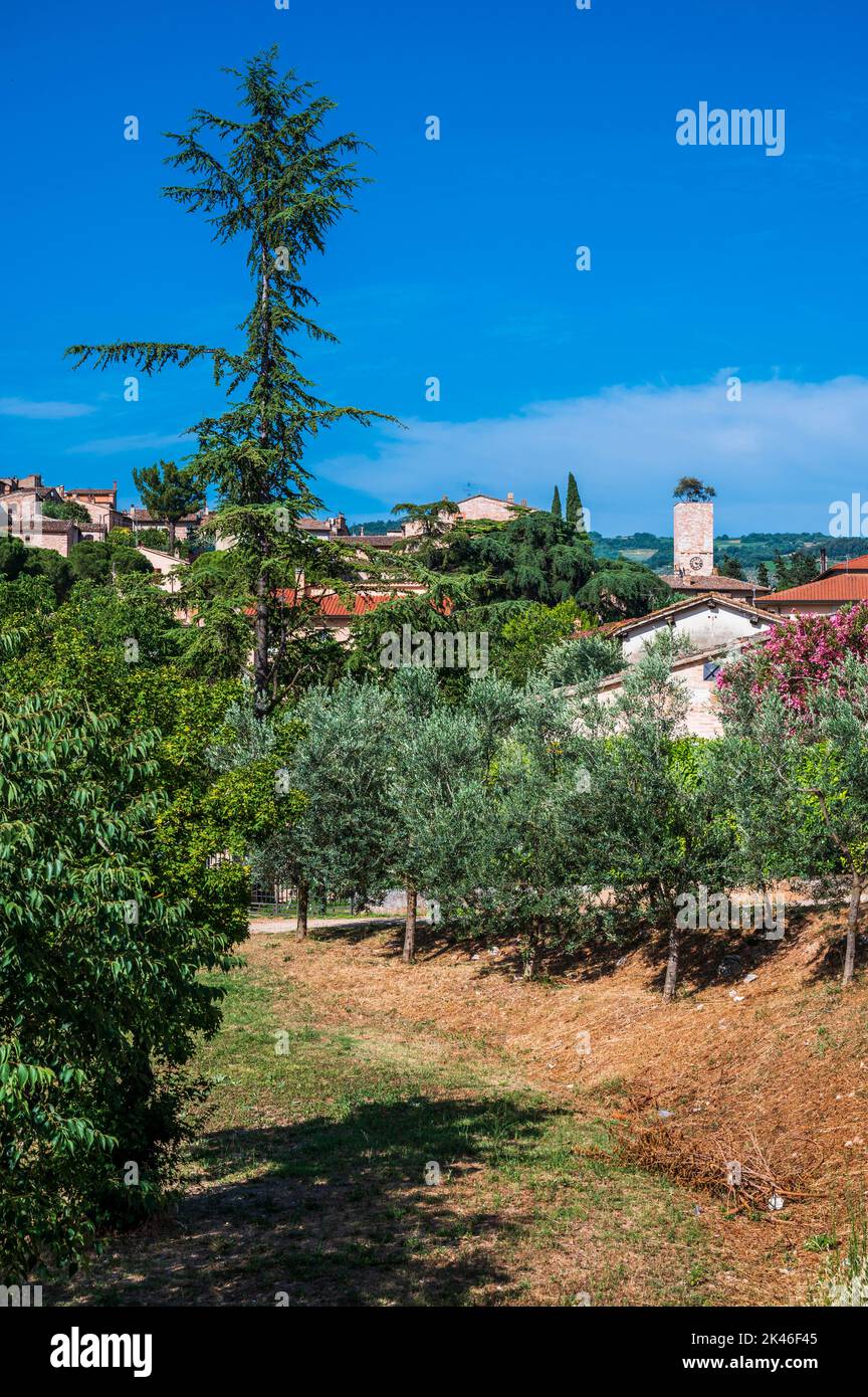Magic of Spello, an ancient medival village in Umbria Stock Photo - Alamy