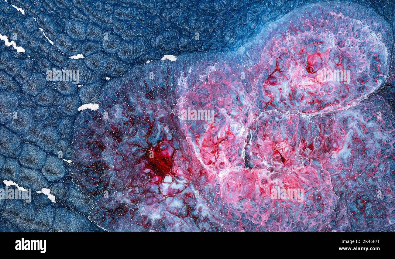 Ink, paint, abstract. Closeup of the painting. Colorful abstract ...