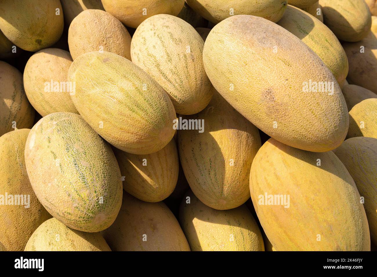 Uzbekistan melon hi-res stock photography and images - Alamy