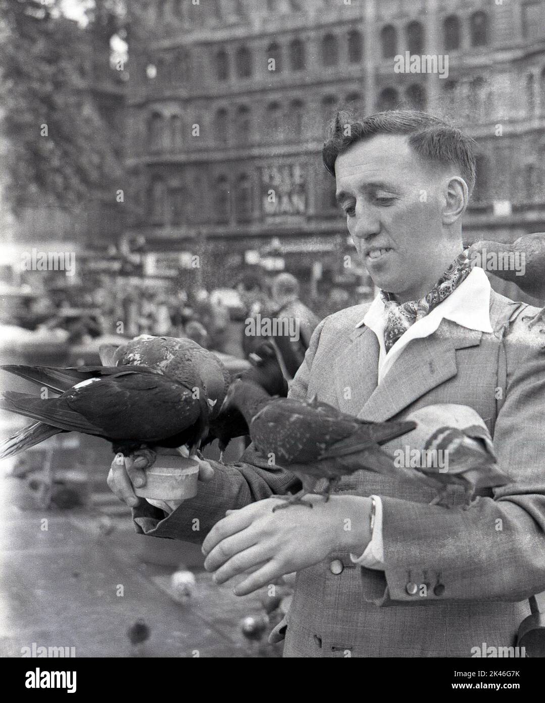 1958, historical, pigeons siting on a man's hand and arms, some feeding ...