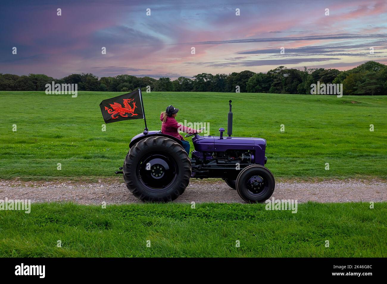 Purple rain tractor hi-res stock photography and images - Alamy