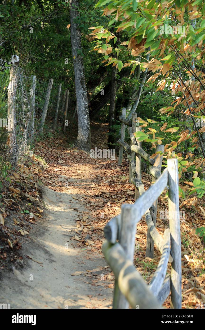 Footpath along west bank of River Vincin close to Route de Moreac ...
