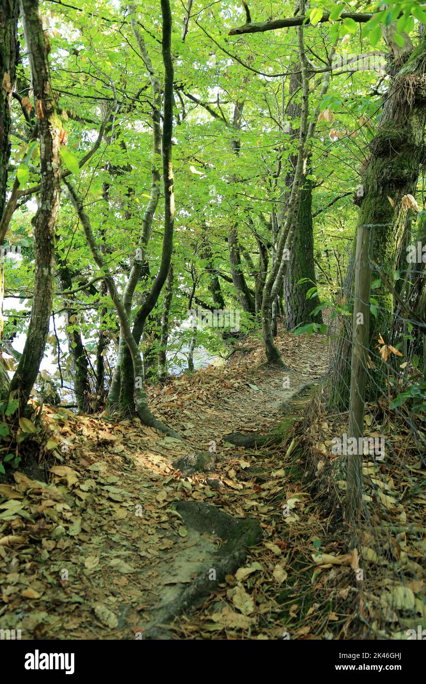 Footpath along west bank of River Vincin close to Route de Moreac ...