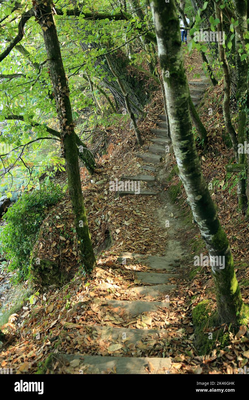 Footpath along west bank of River Vincin close to Route de Moreac ...