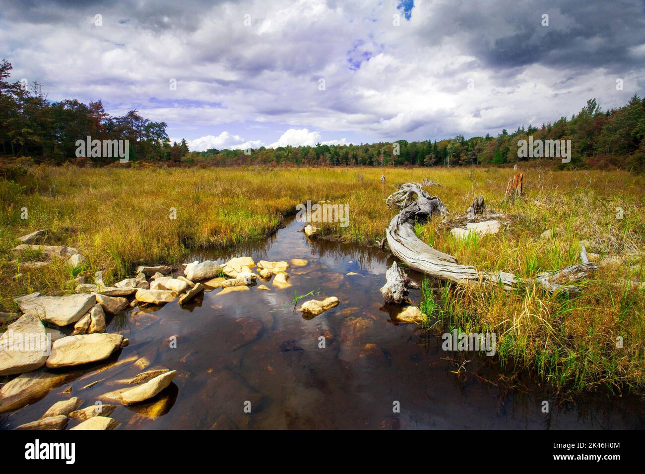 Hagen Run, a tributary of the Lehigh and Delaware Rivers, flows through ...