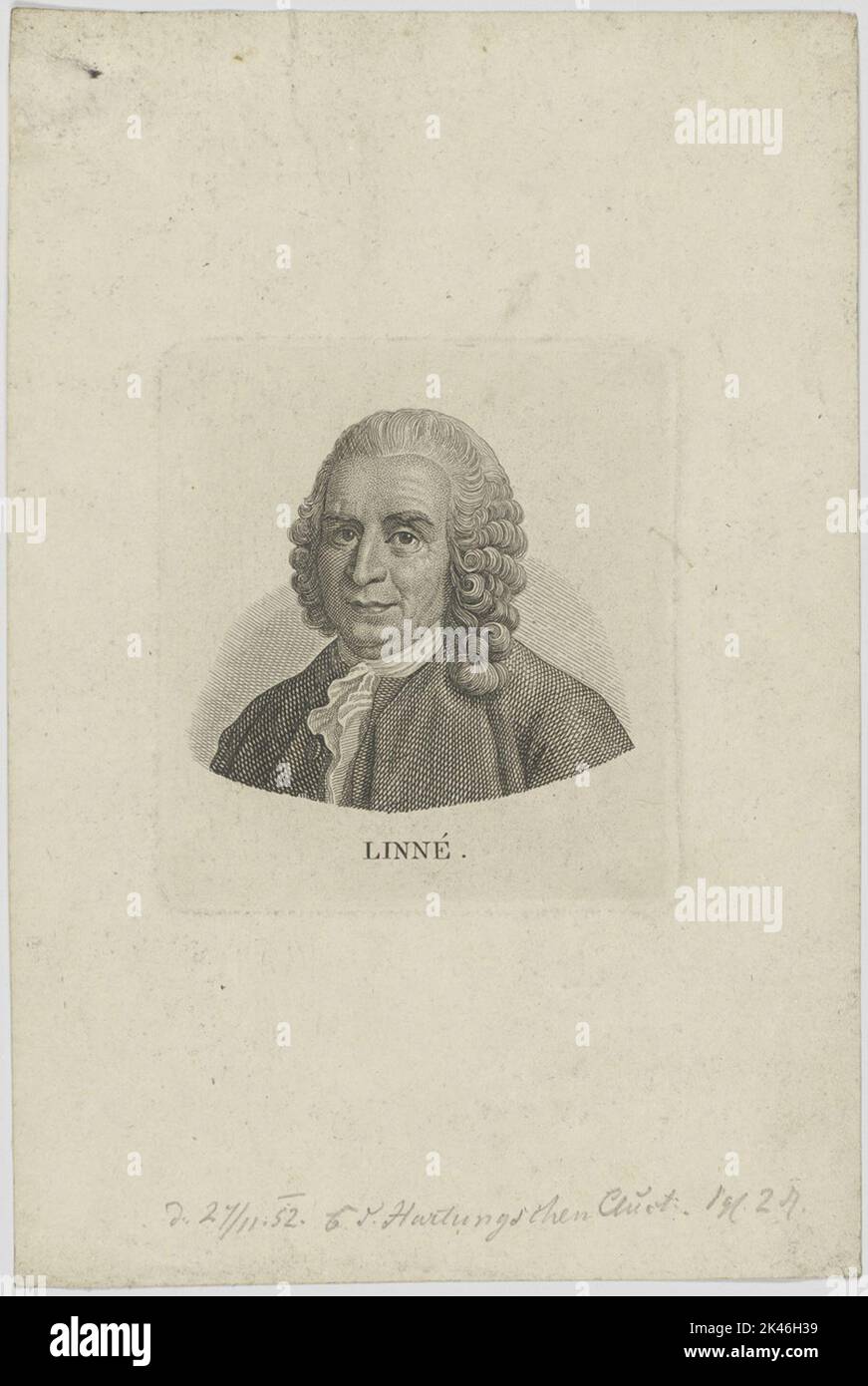 Portrait of the Linné Stock Photo - Alamy