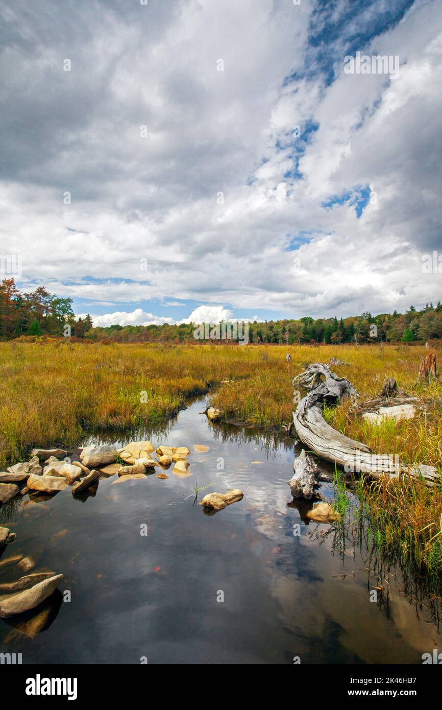 Hagen Run, a tributary of the Lehigh and Delaware Rivers, flows through ...