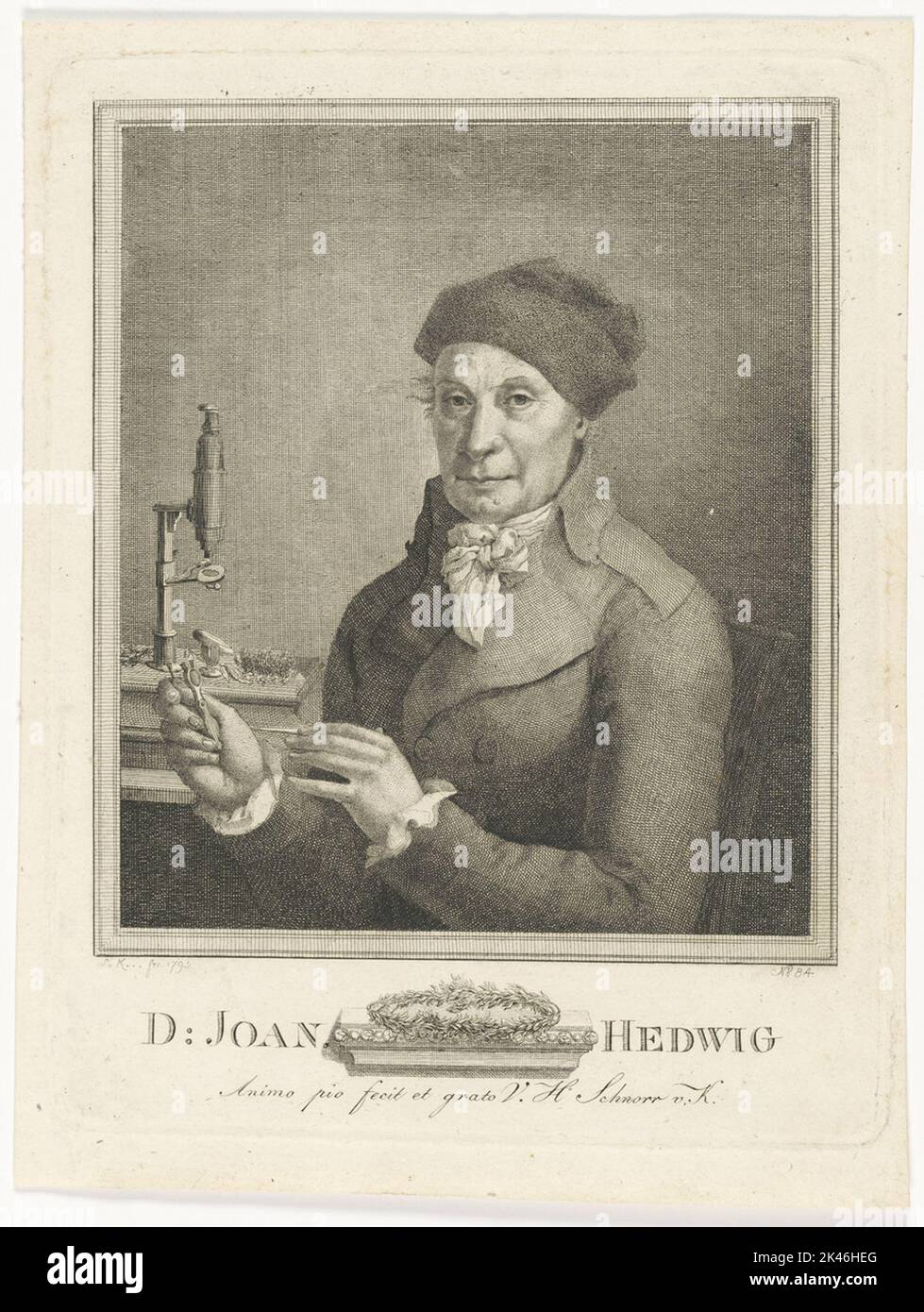 Portrait of Joan Hedwig Stock Photo - Alamy