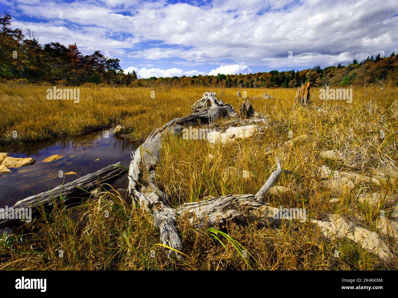 Hagen Run, a tributary of the Lehigh and Delaware Rivers, flows through ...