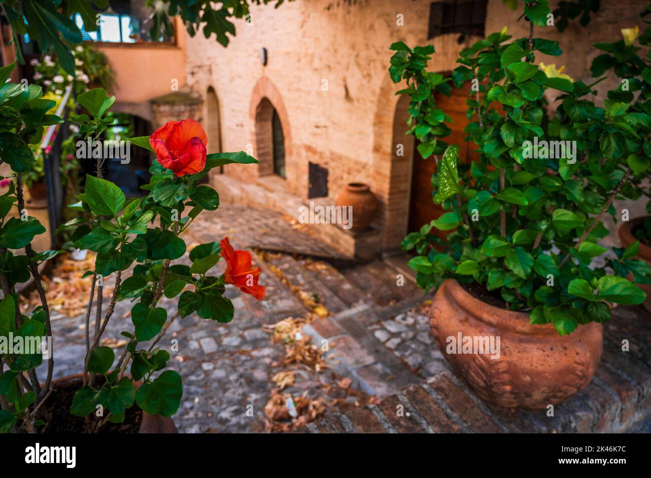 Magic of Spello, an ancient medival village in Umbria Stock Photo - Alamy