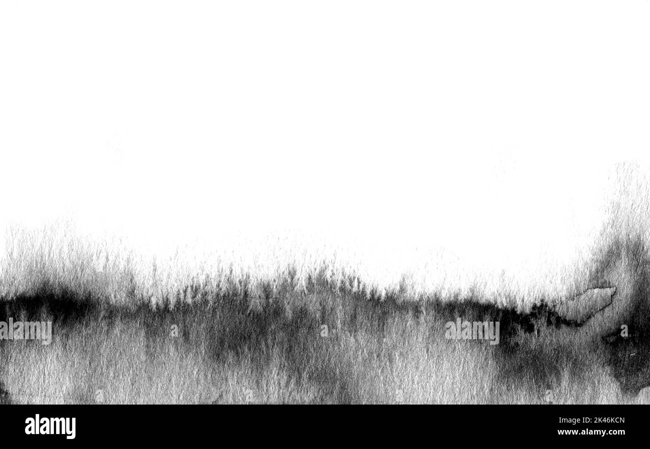 Isolated watercolor drawing.Image of ablack reed or bulrush on a white ...