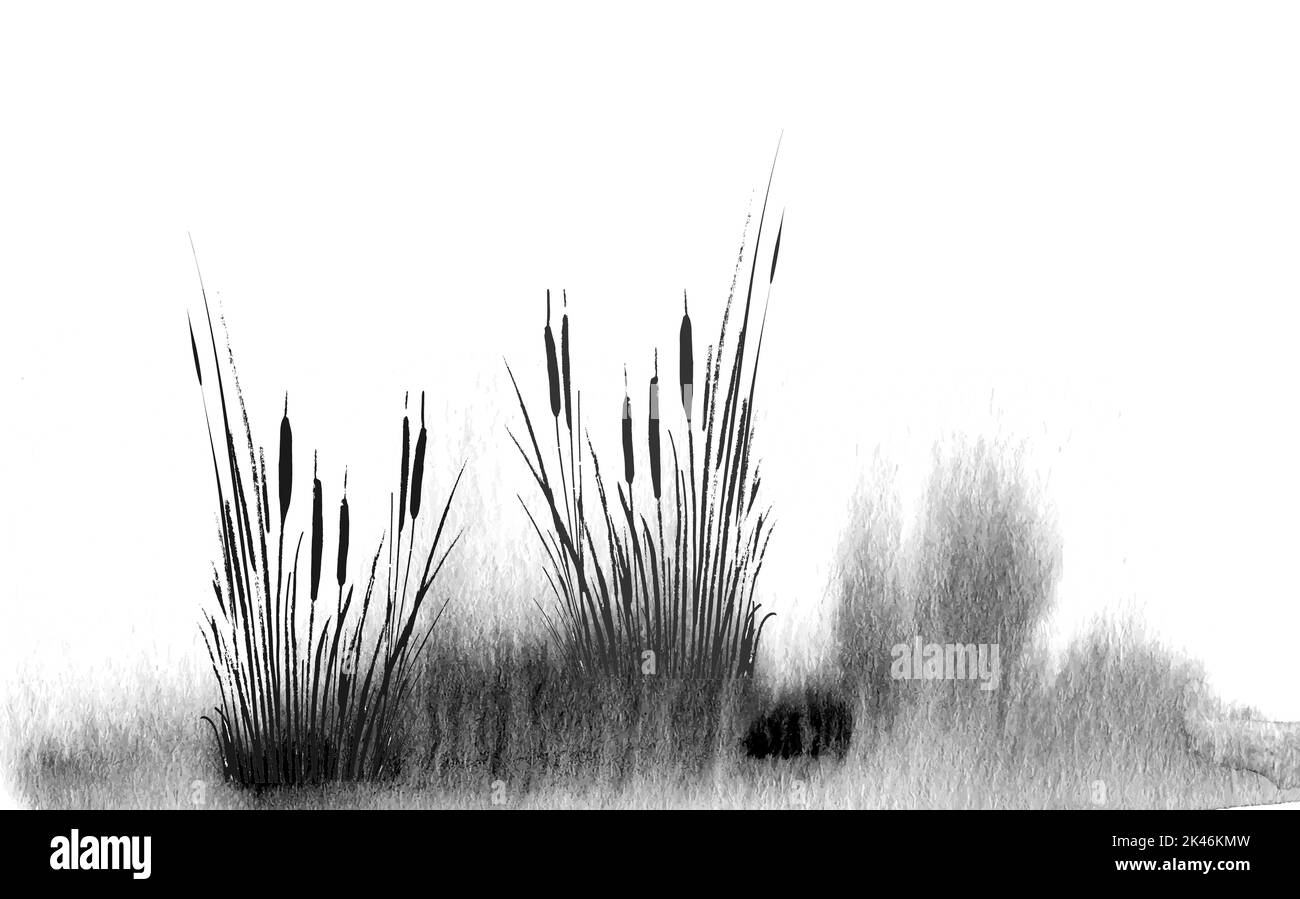 Marsh grass drawing hi-res stock photography and images - Alamy