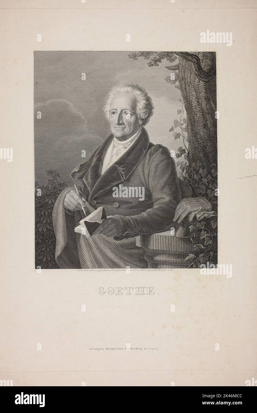 Goethe portrait hi-res stock photography and images - Alamy