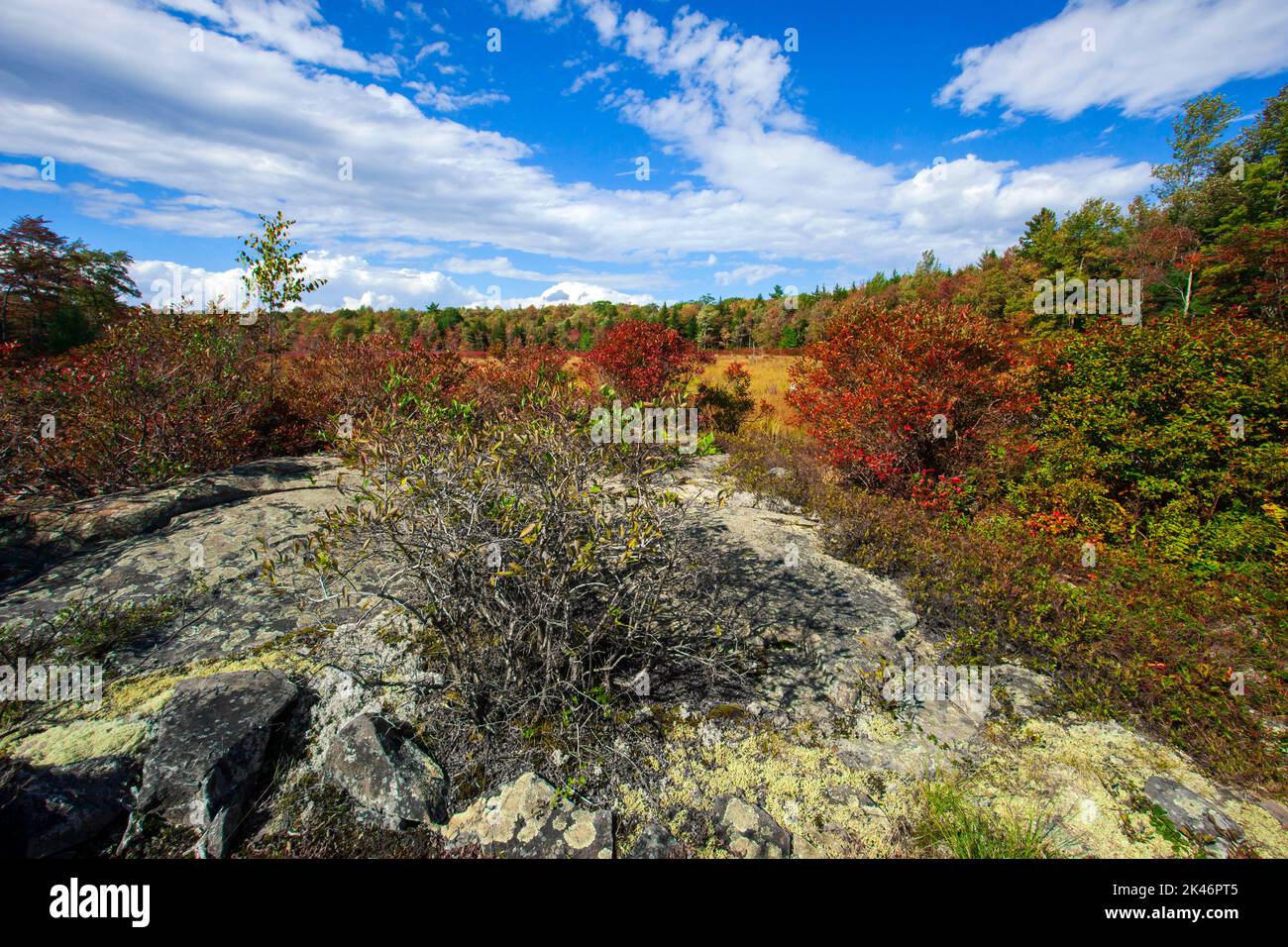 Hagen Run, a tributary of the Lehigh and Delaware Rivers, flows through ...