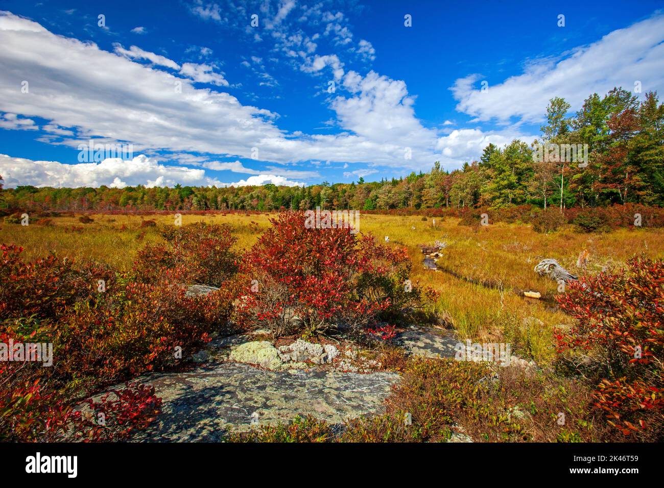Hagen Run, a tributary of the Lehigh and Delaware Rivers, flows through ...
