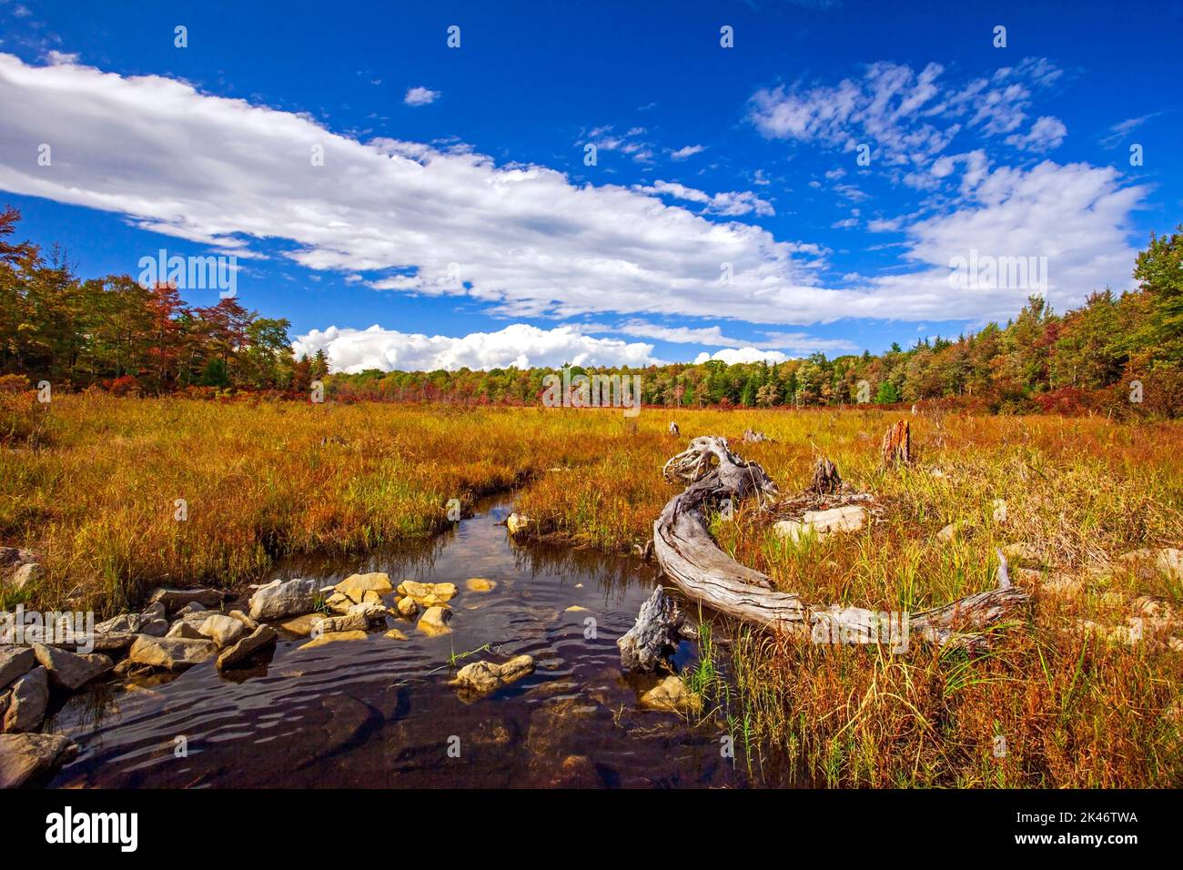 Hagen Run, a tributary of the Lehigh and Delaware Rivers, flows through ...