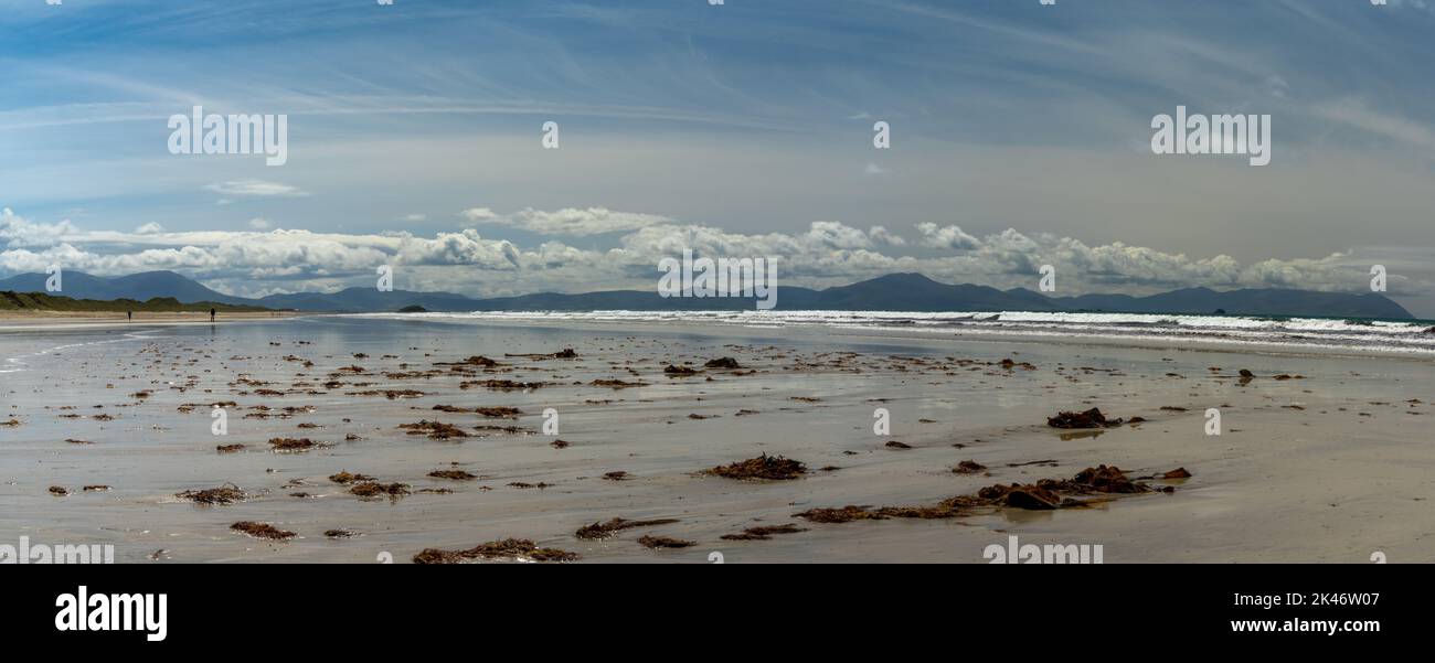 A panorama view of the endless golden sand beach in Ballyheigue with ...