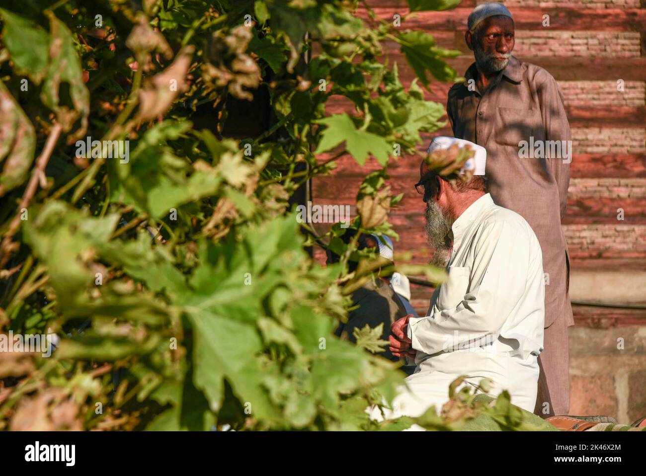 Srinagar, India. 30th Sep, 2022. Muslim devotees pray outside Sufi ...