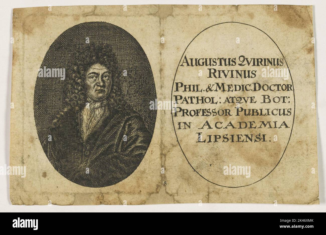 Rivinus hi-res stock photography and images - Alamy