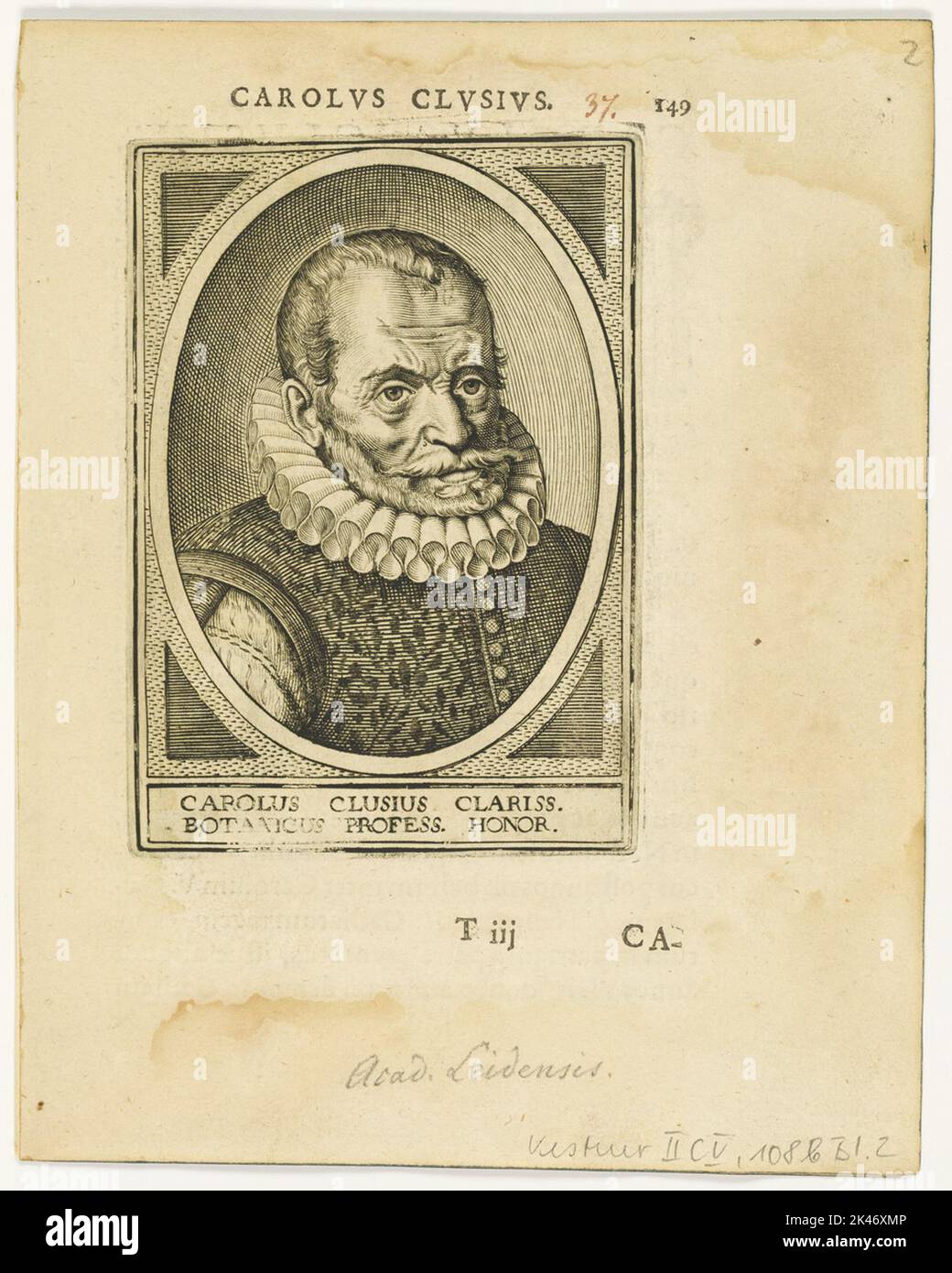Bildnis des Carolus Clusius Stock Photo - Alamy