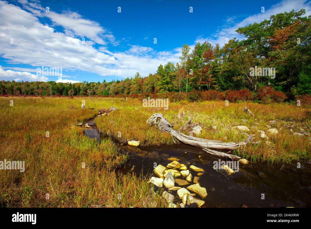 Hagen Run, a tributary of the Lehigh and Delaware Rivers, flows through ...