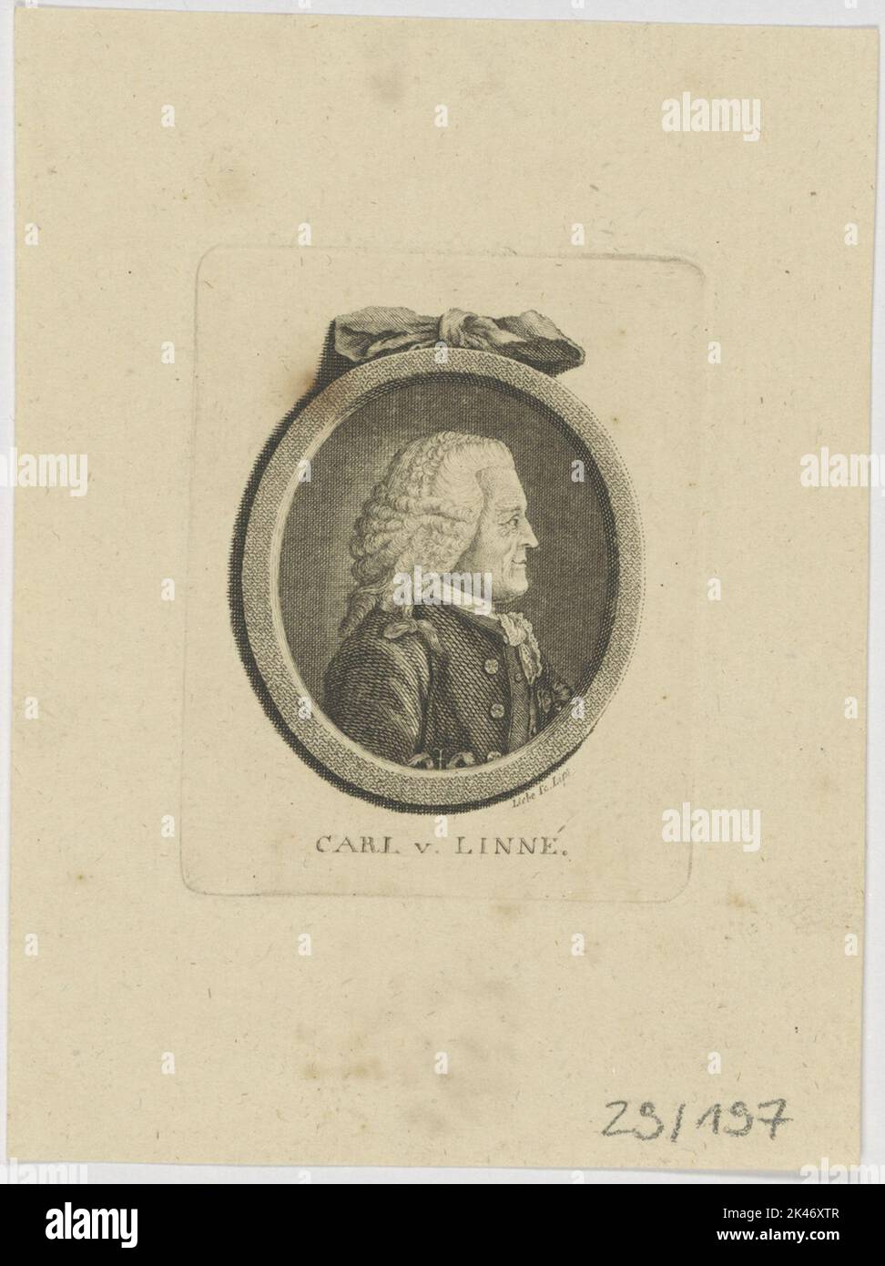 Portrait of Carl von Linné Stock Photo - Alamy