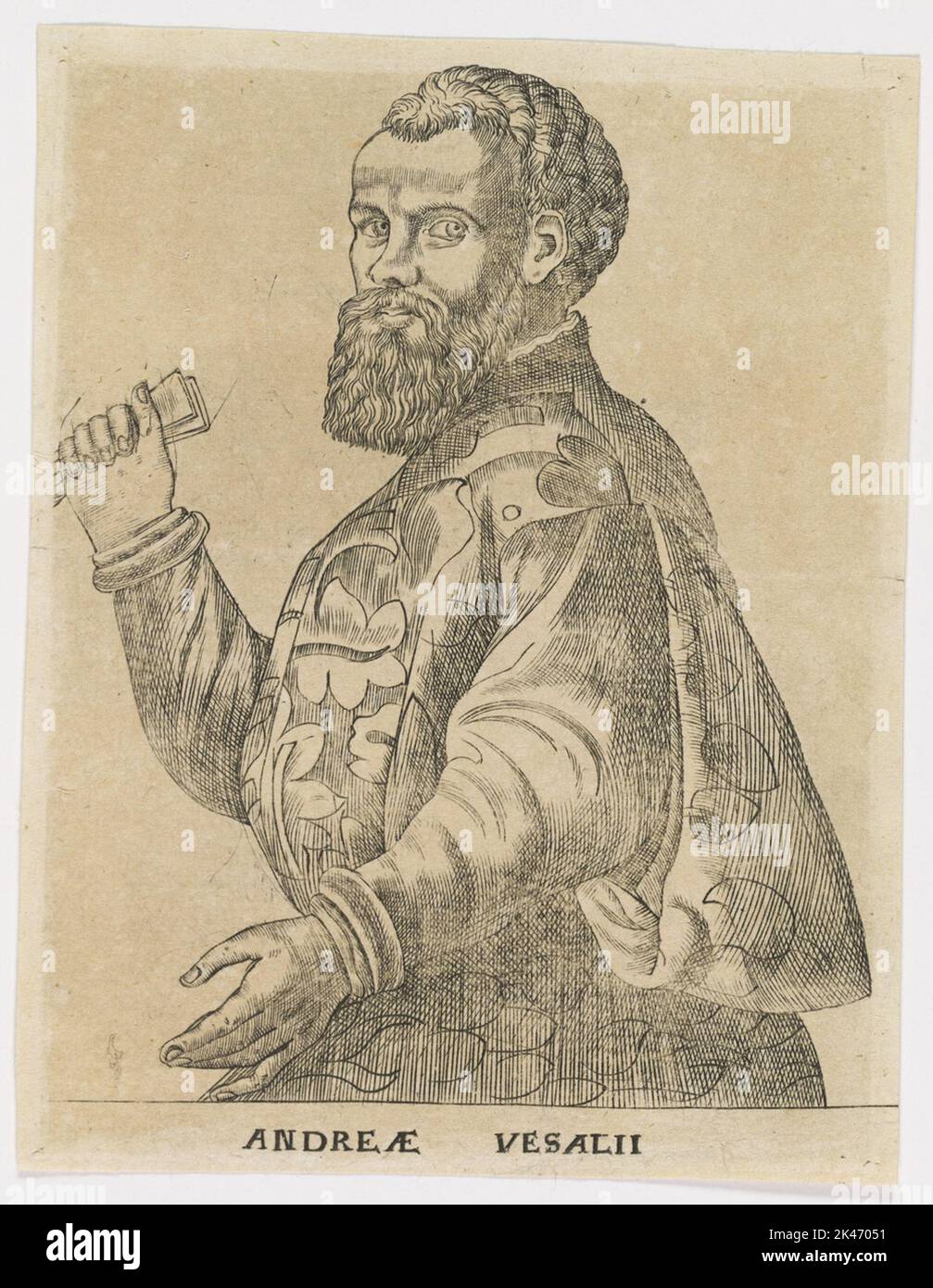 Portrait of Andreas Vesalius Stock Photo - Alamy