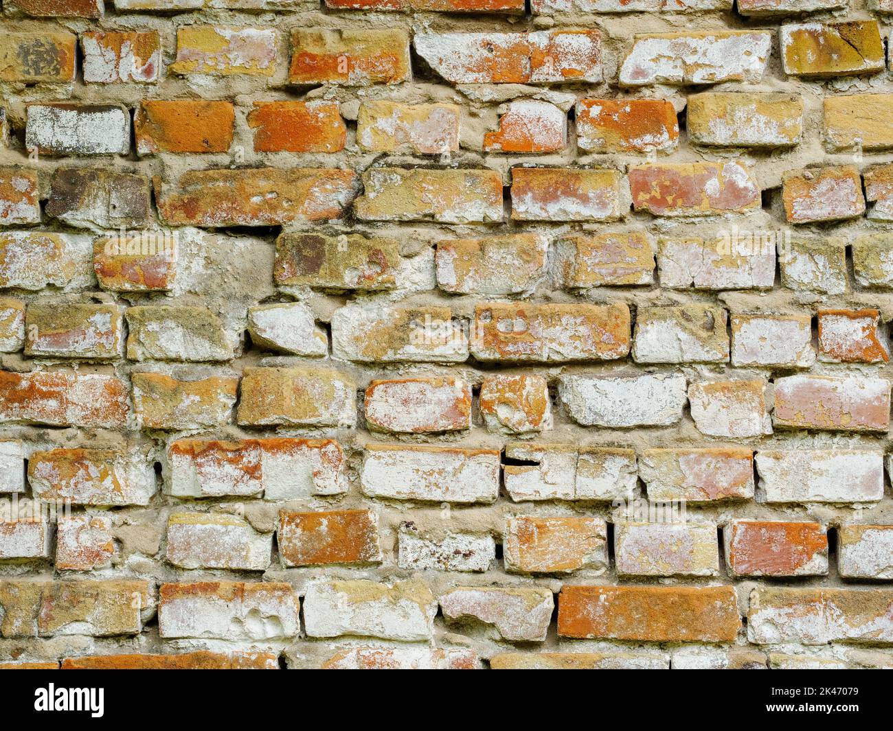 Old damaged brick wall with red sprouts as a rough background Stock ...