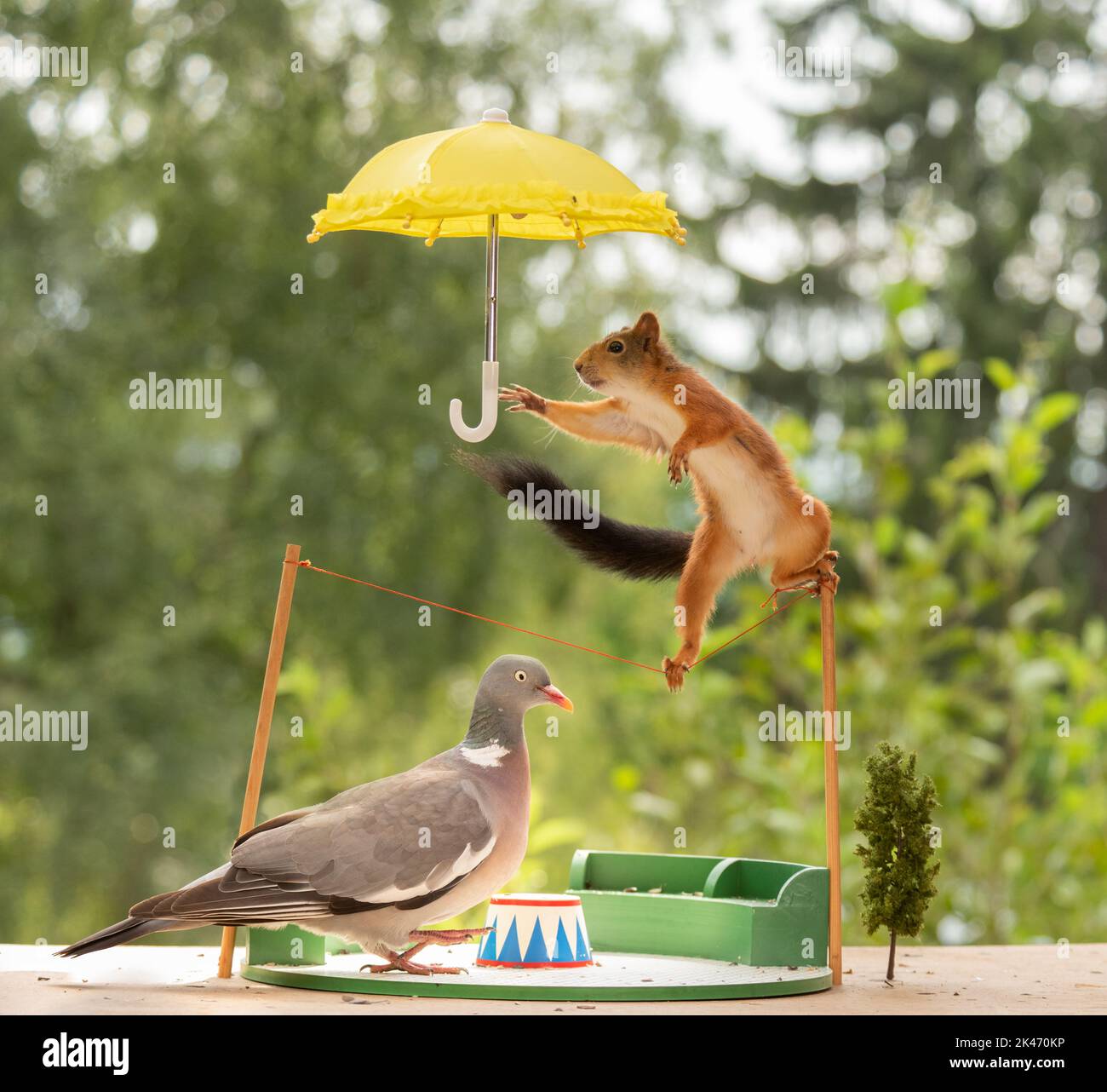 Stilts stand hi-res stock photography and images - Alamy