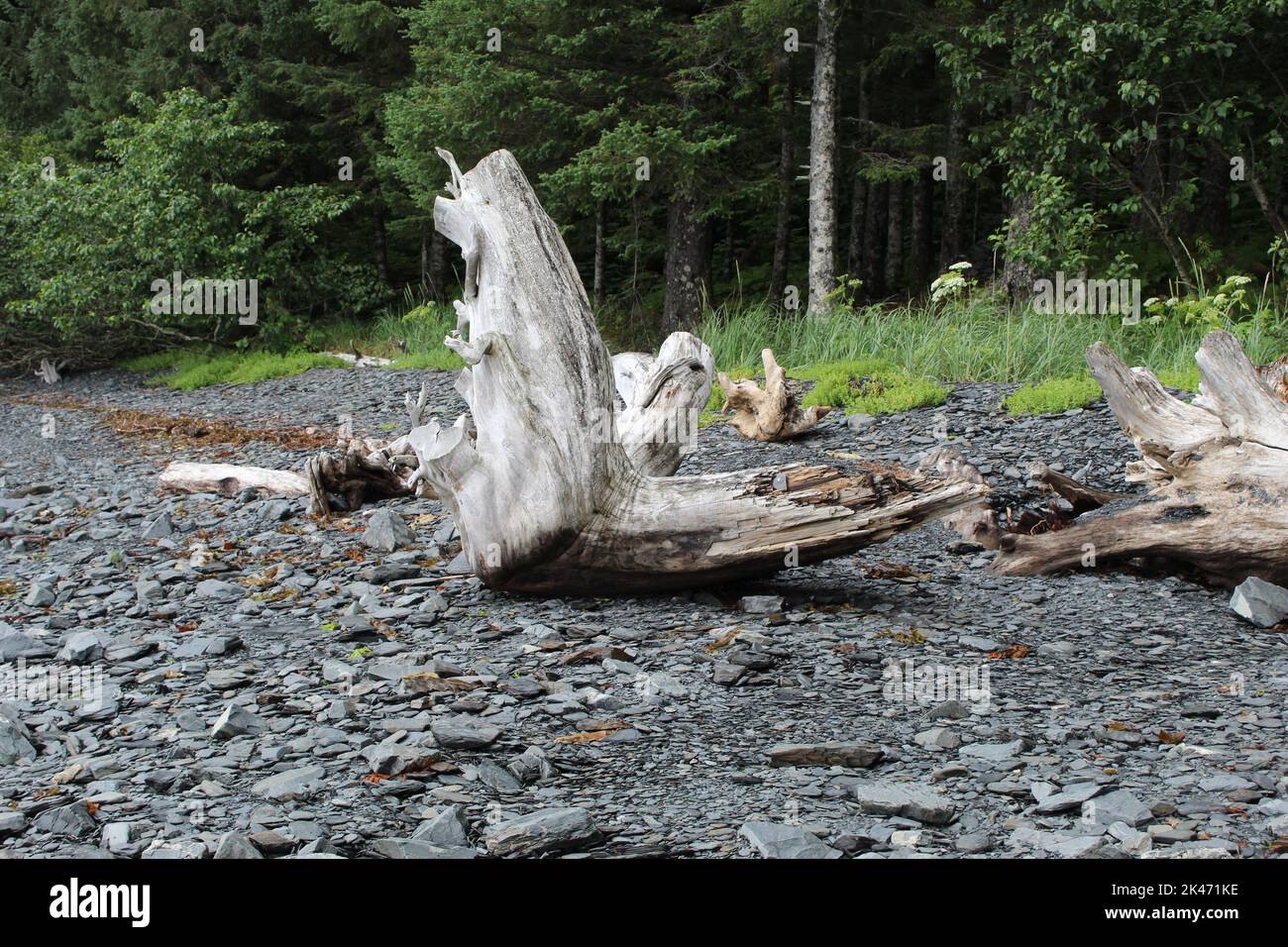 Drift wood background hi-res stock photography and images - Alamy