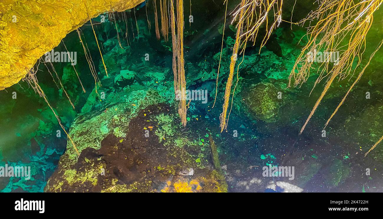 Amazing blue turquoise water and limestone cave sinkhole cenote Tajma ...