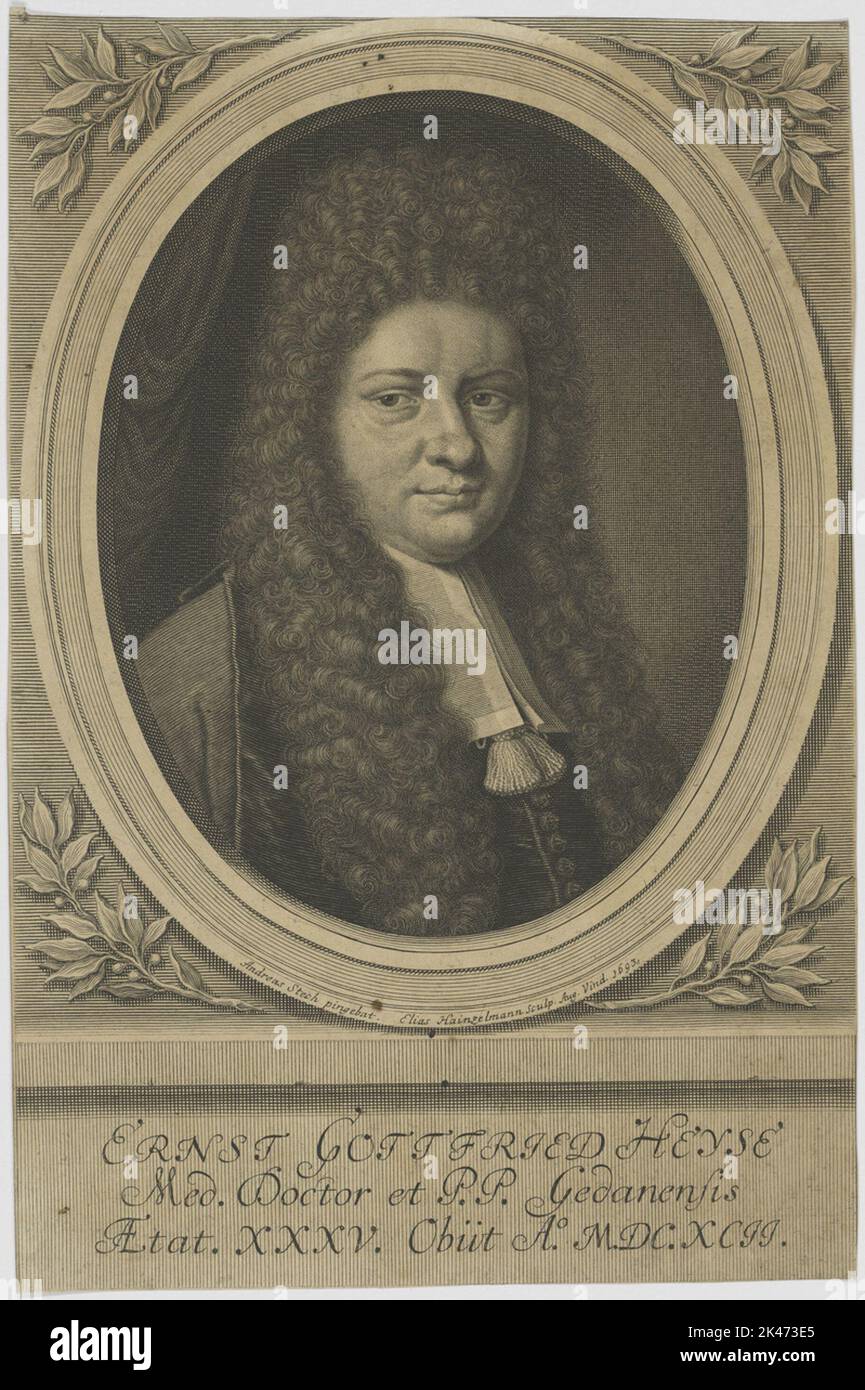 Portrait of Ernst Gottfried Heyse Stock Photo - Alamy