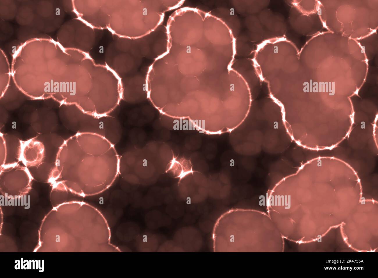 modern design red many biological living cells computer art texture ...